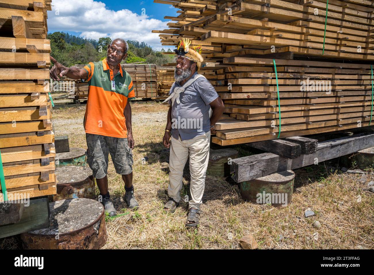 Papua New Guinea, Morobe province, PNG Forest products, quality manager ...
