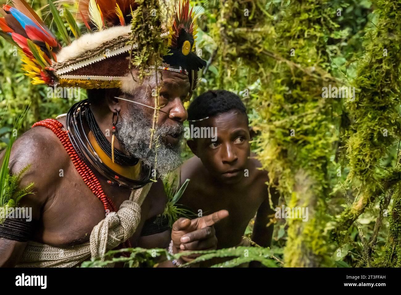 Papua New Guinea, Hela province, Ambua forest, chief Mundiya Kepanga ...