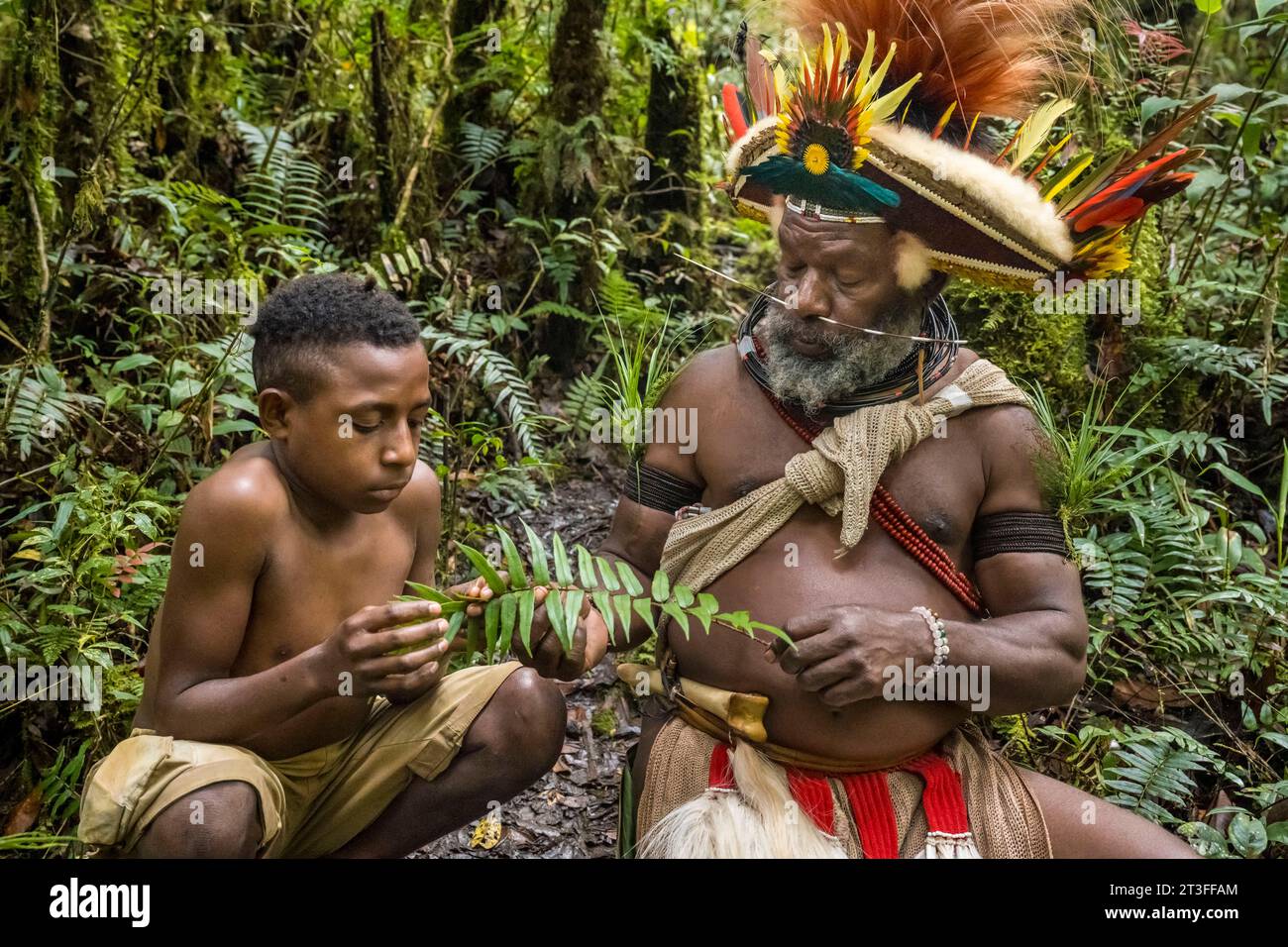 Papua New Guinea, Hela province, Ambua forest, chief Mundiya Kepanga ...