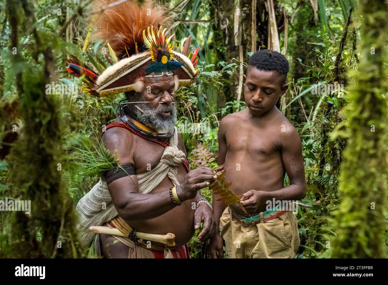 Papua New Guinea, Hela province, Ambua forest, chief Mundiya Kepanga ...