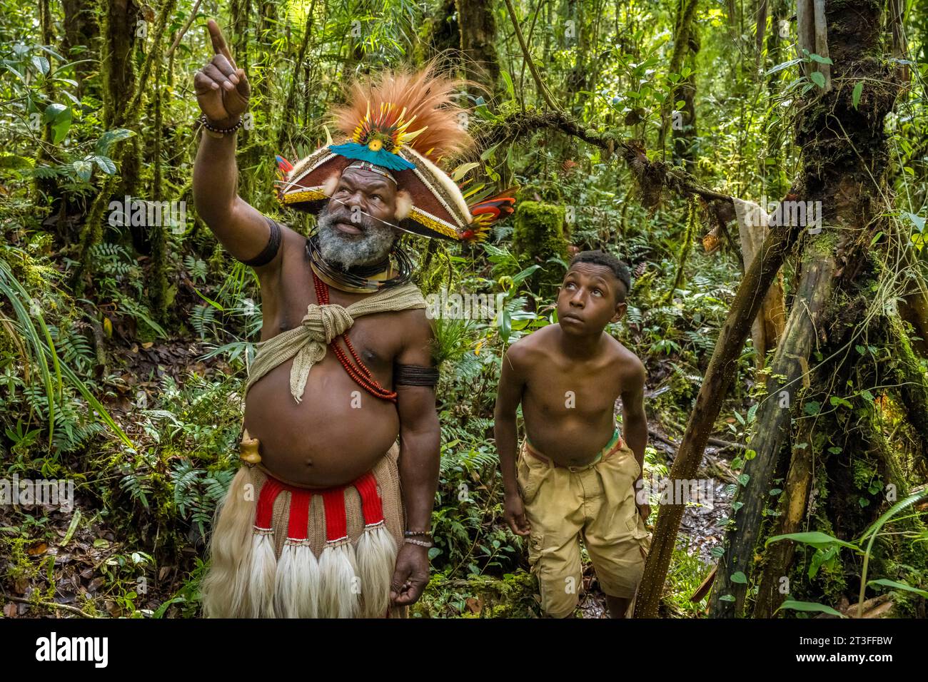 Papua New Guinea, Hela province, Ambua forest, chief Mundiya Kepanga ...