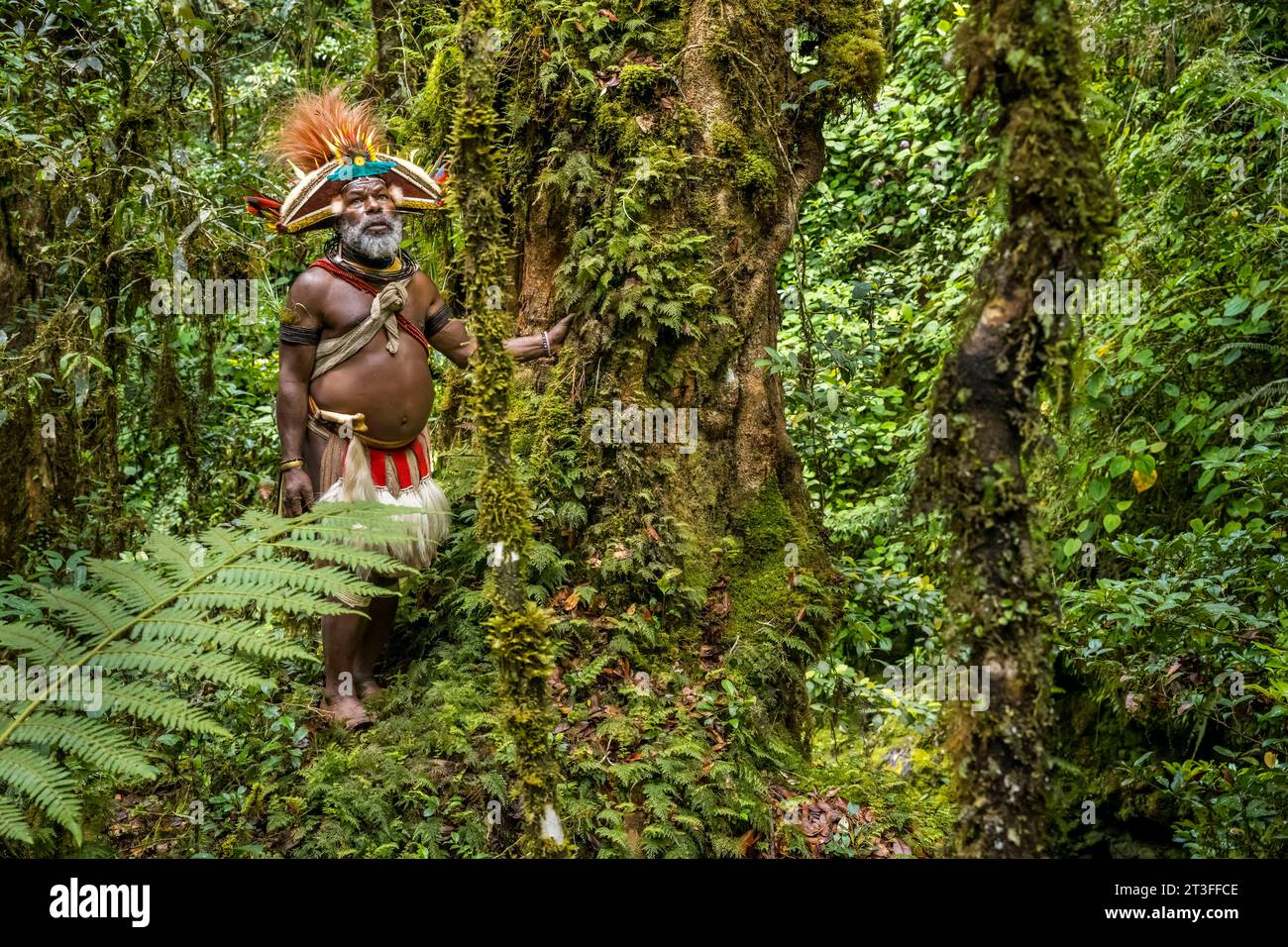 Papua New Guinea, Hela province, Ambua forest, chief Mundiya Kepanga ...
