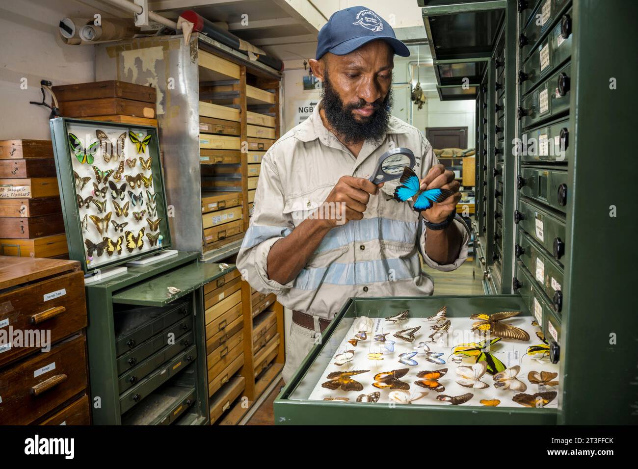 Papua New Guinea, Madang Province, Madang City, Insect Research Center ...