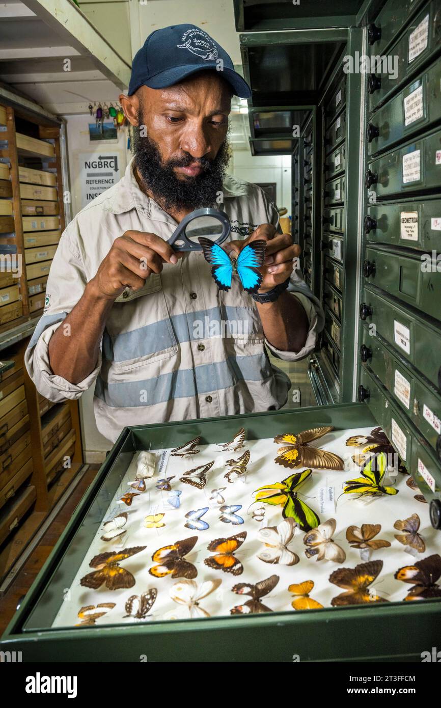 Papua New Guinea, Madang Province, Madang City, Insect Research Center ...