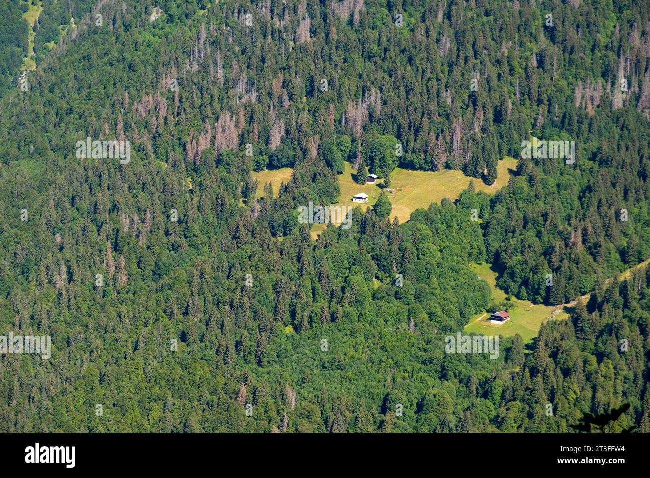 France, Haute Savoie, Avoriaz 1800, the Montriond massif Stock Photo ...