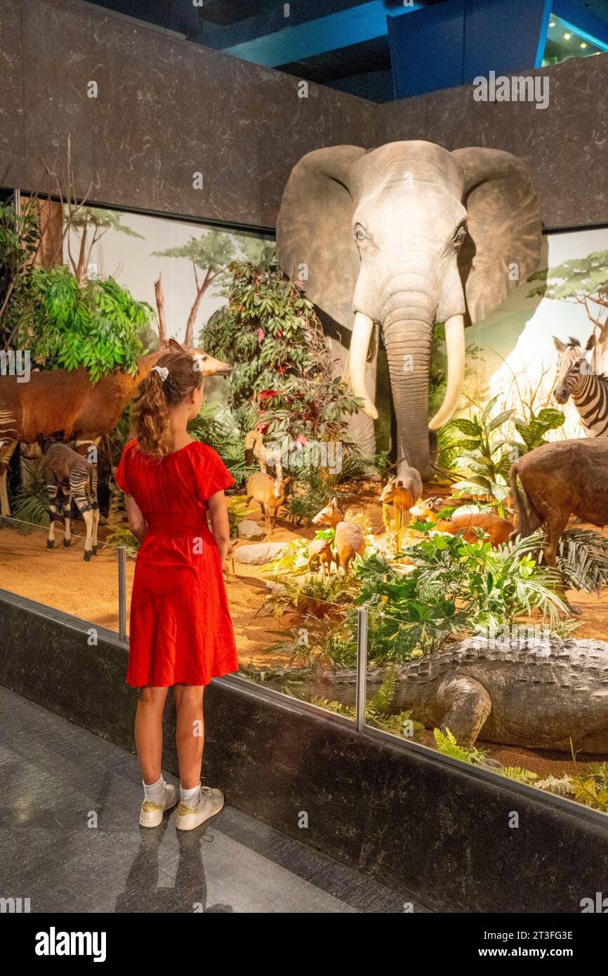 Natural history museum geneva hi-res stock photography and images - Alamy