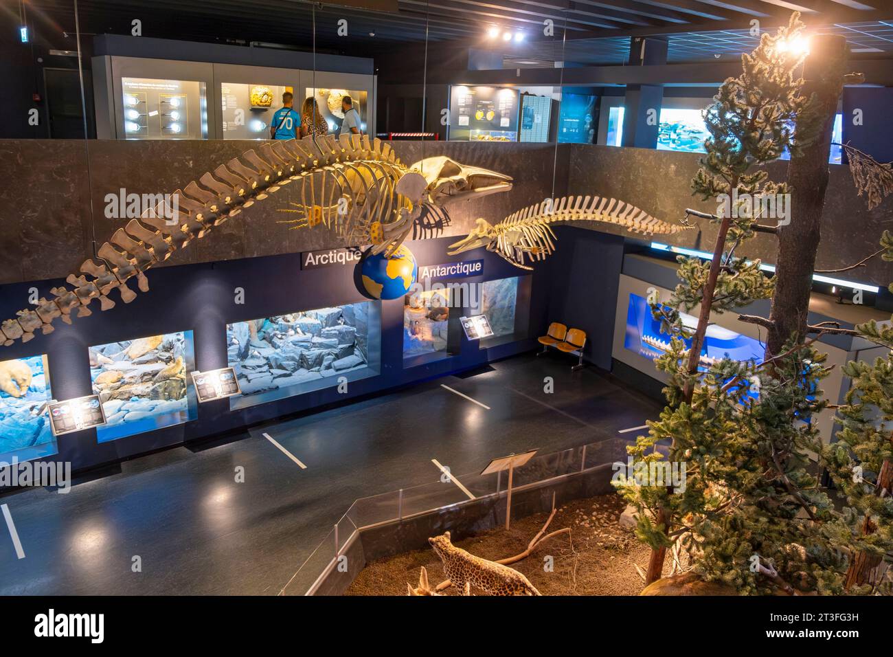 Switzerland, Geneva, the Natural History Museum Stock Photo - Alamy