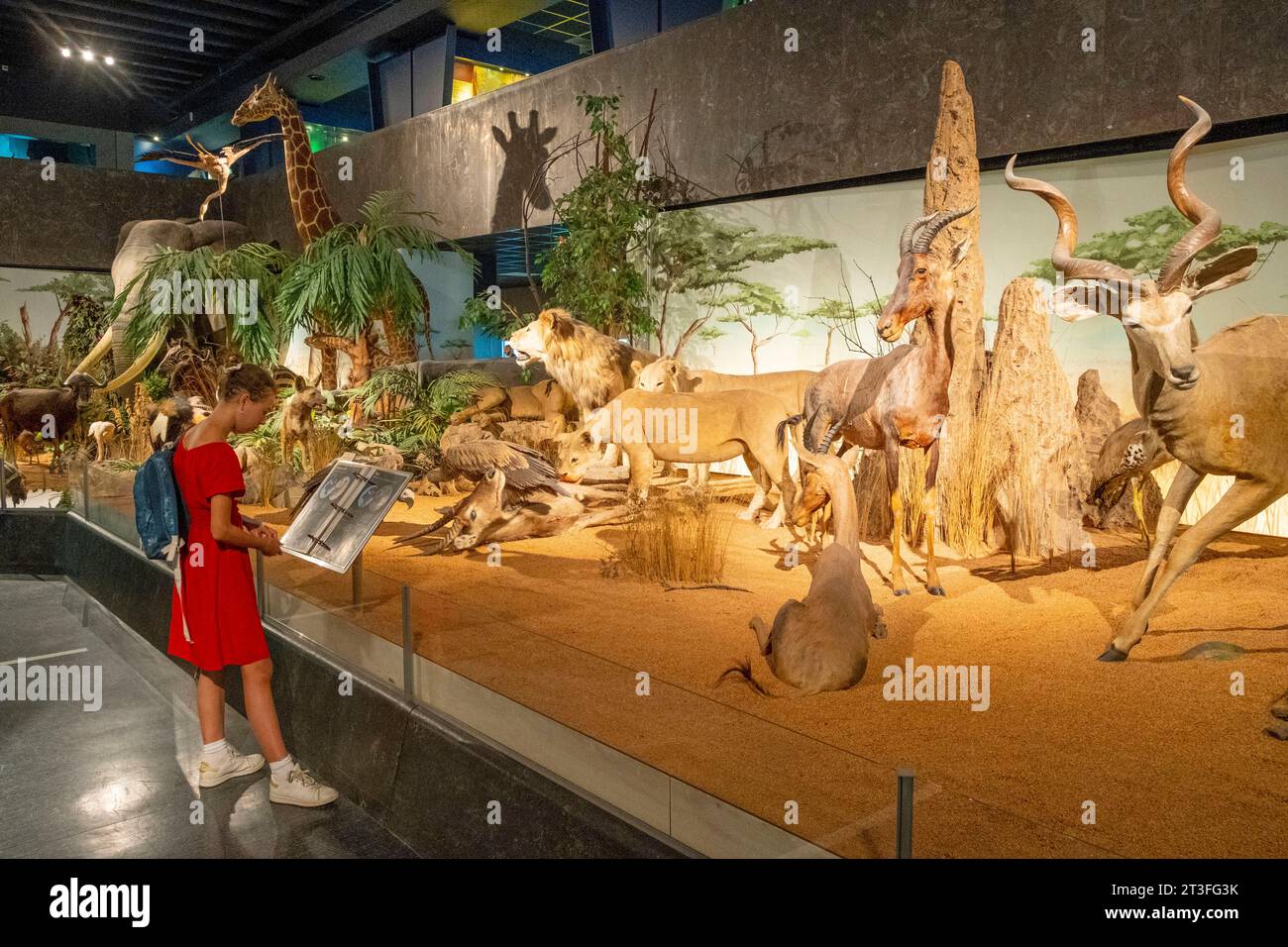 Switzerland, Geneva, the Natural History Museum Stock Photo - Alamy