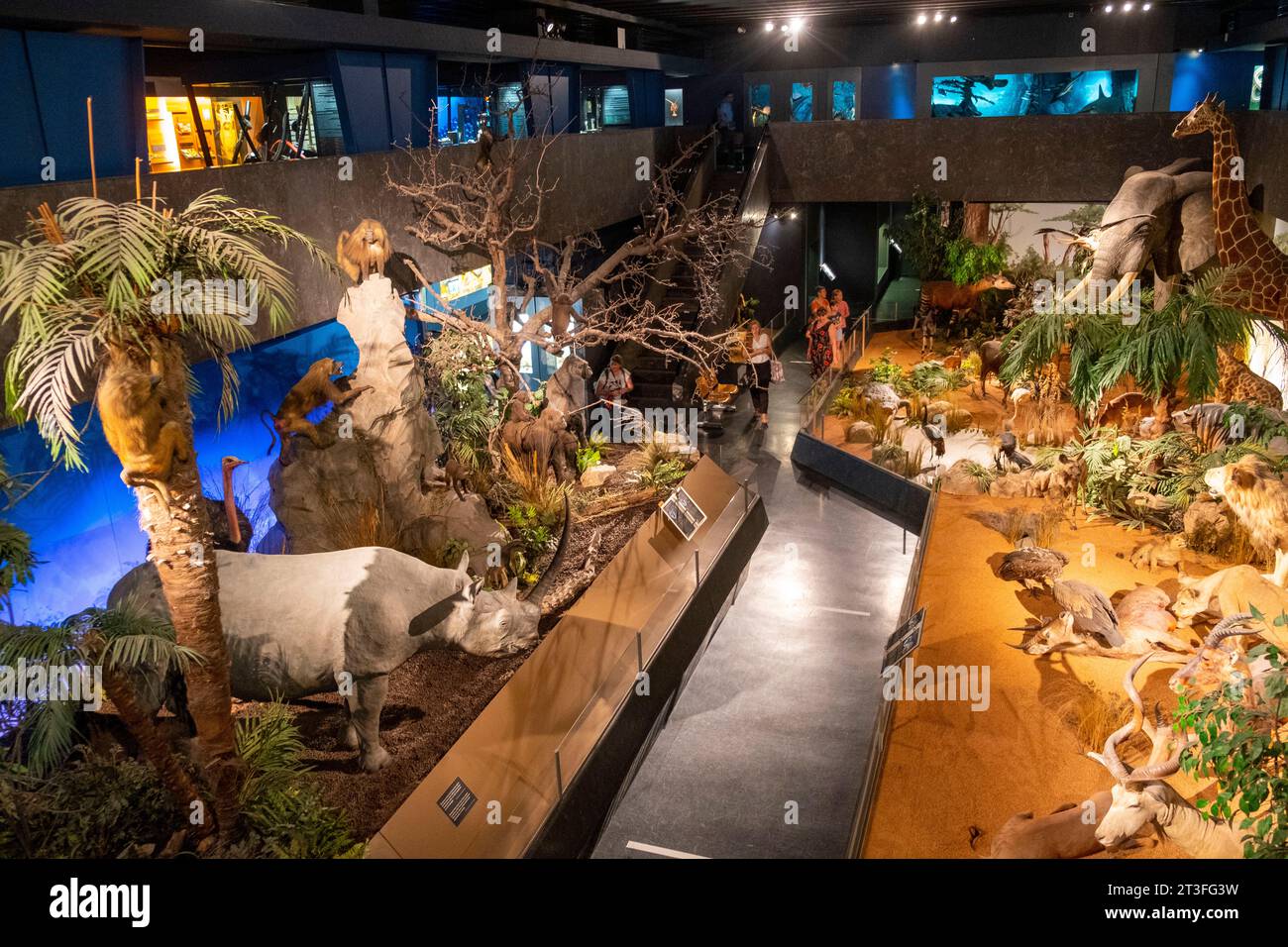 Switzerland, Geneva, the Natural History Museum Stock Photo - Alamy