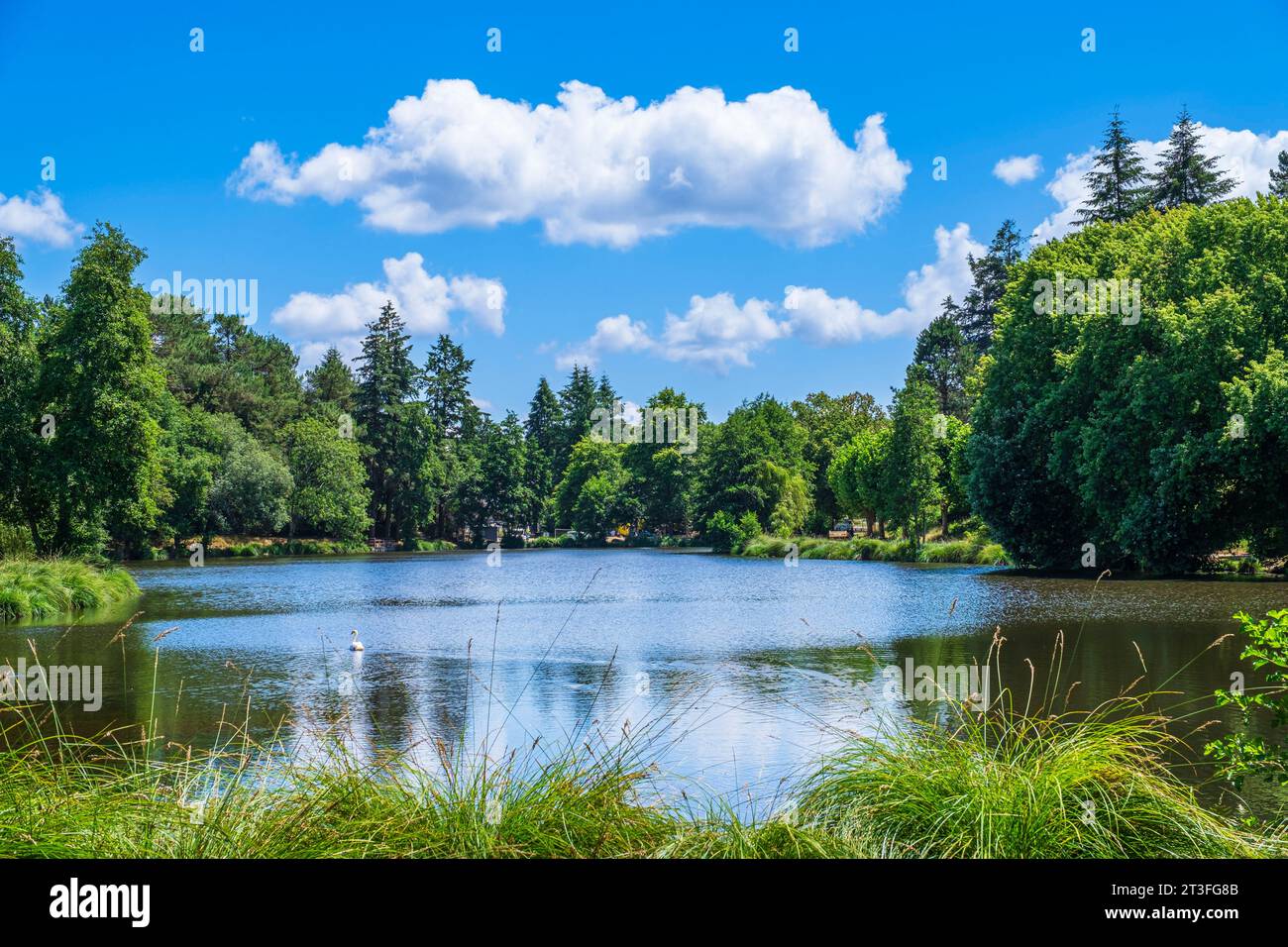 France, Morbihan, Questembert, Celac pond Stock Photo - Alamy