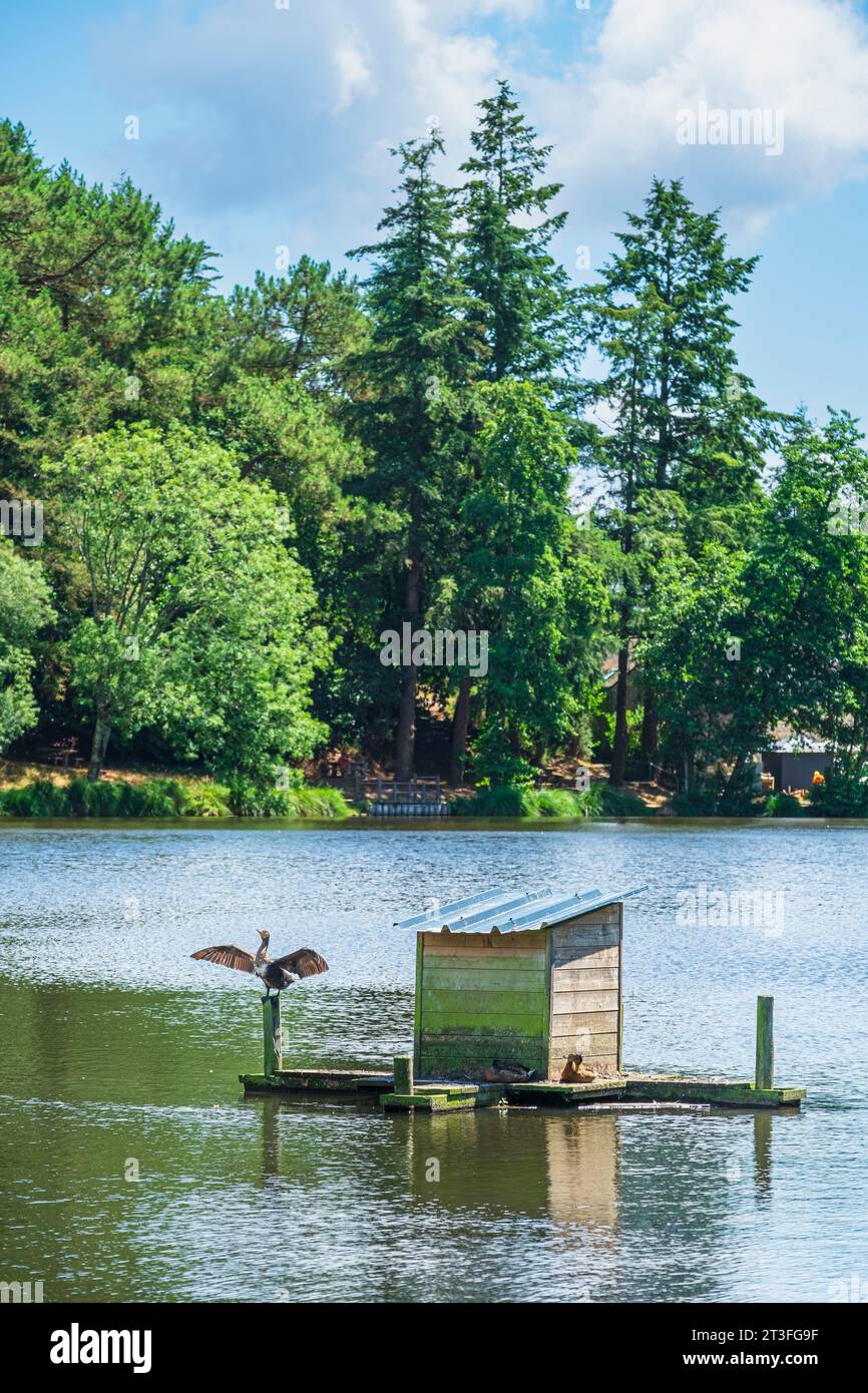 France, Morbihan, Questembert, Celac pond Stock Photo - Alamy