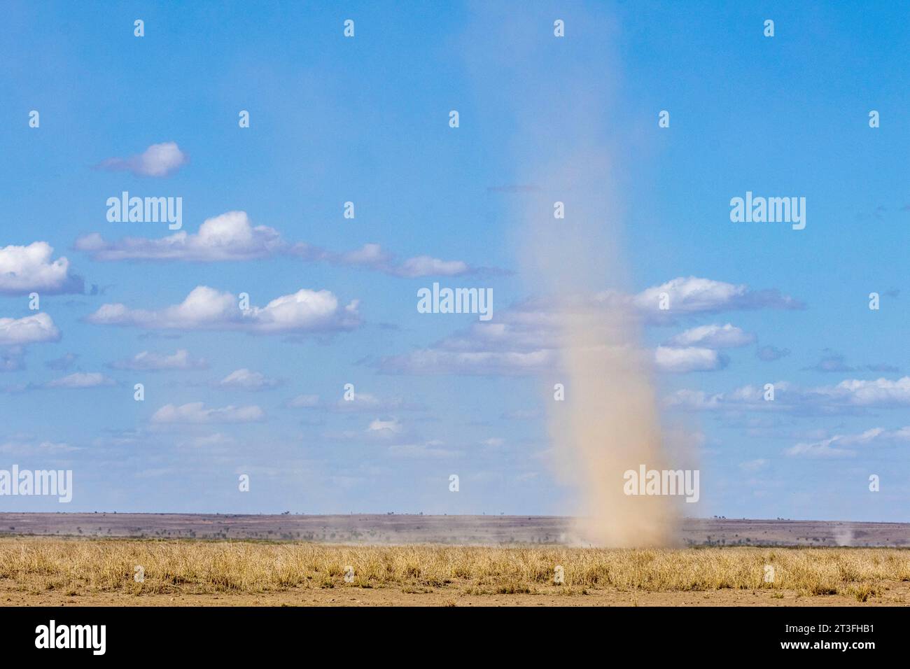Kenya,Amboseli national park, dust devil Stock Photo - Alamy