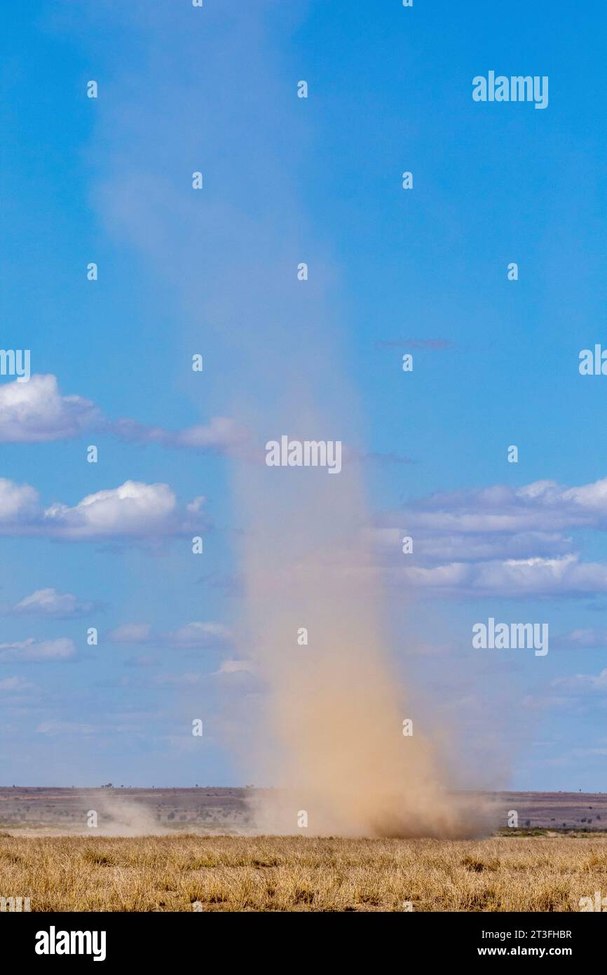 Kenya,Amboseli national park, dust devil Stock Photo - Alamy