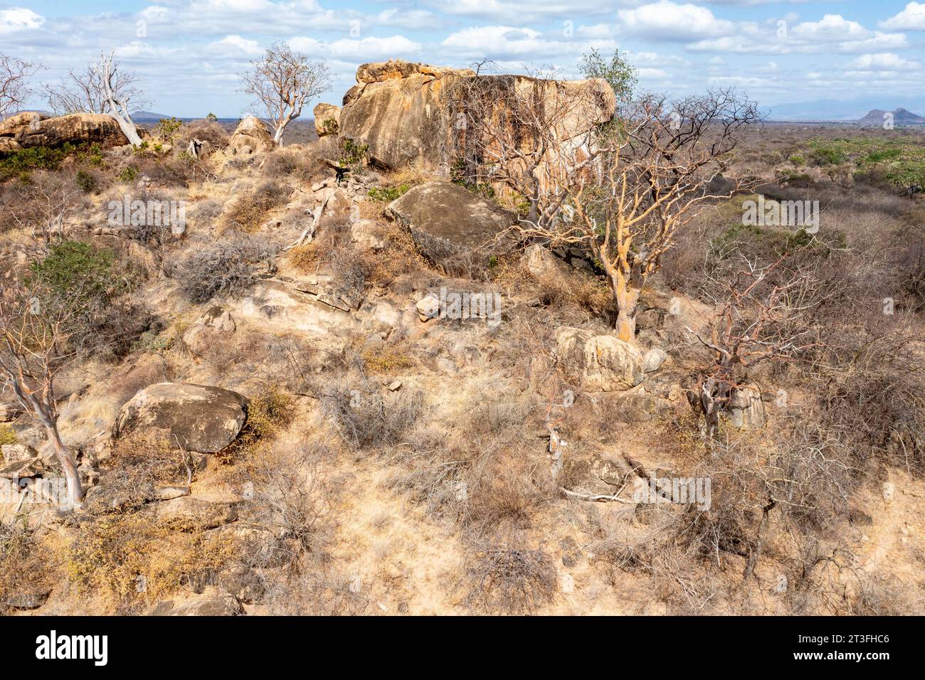 Meru national park view hi-res stock photography and images - Alamy