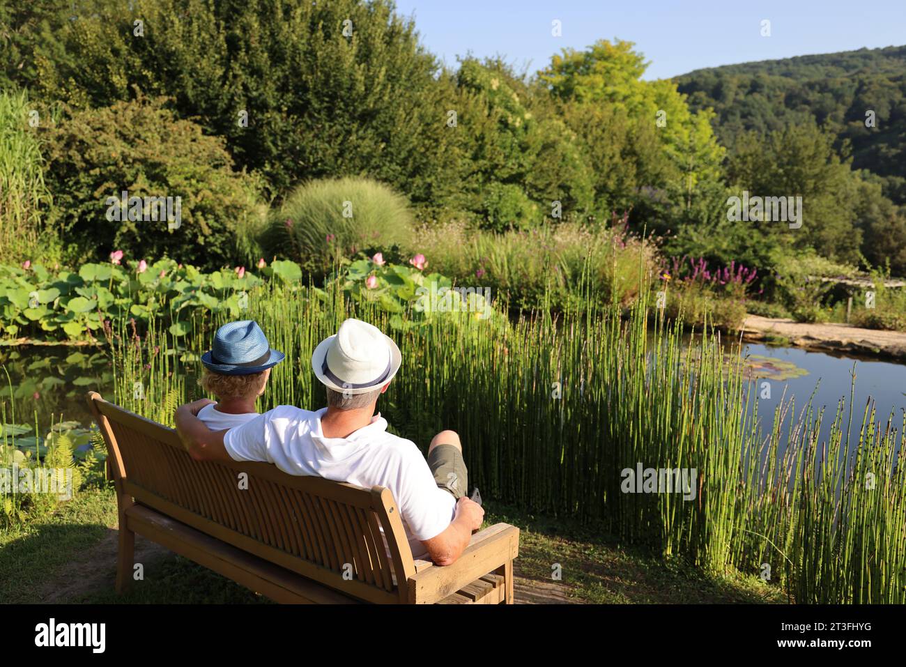 Nature, vegetation, water basins, walks, calm in the Water Gardens ...