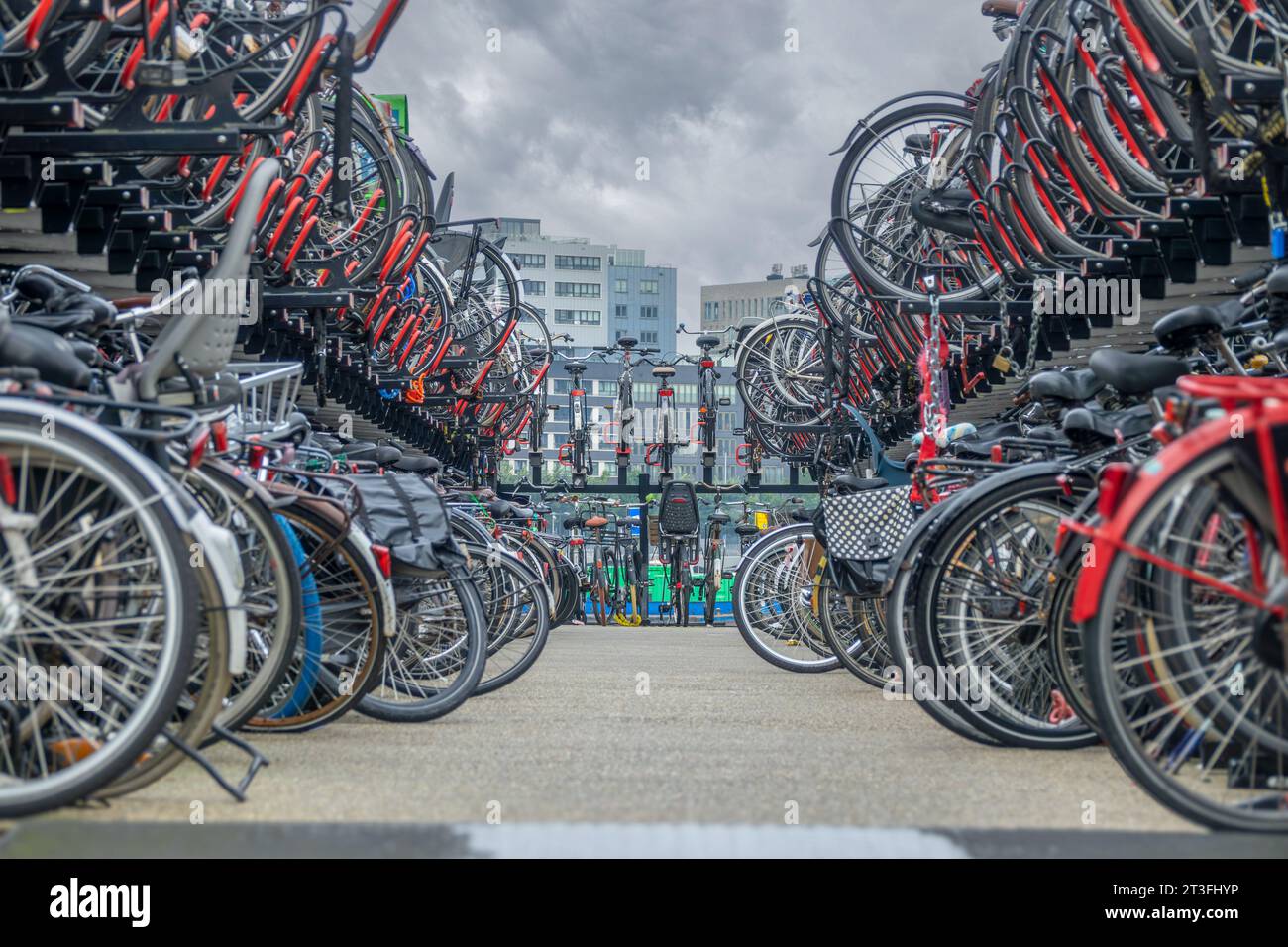 Netherlands. Lots of bicycles in a two-story bicycle parking area near ...