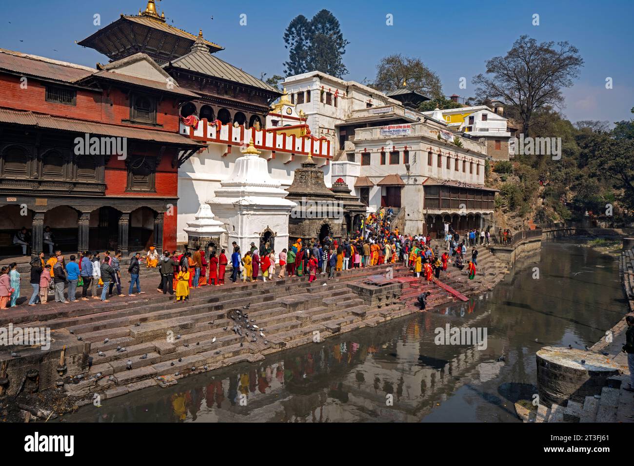 Nepal, Kathmandu, Hindu festival of Shivaratri in the Pashupatinath ...