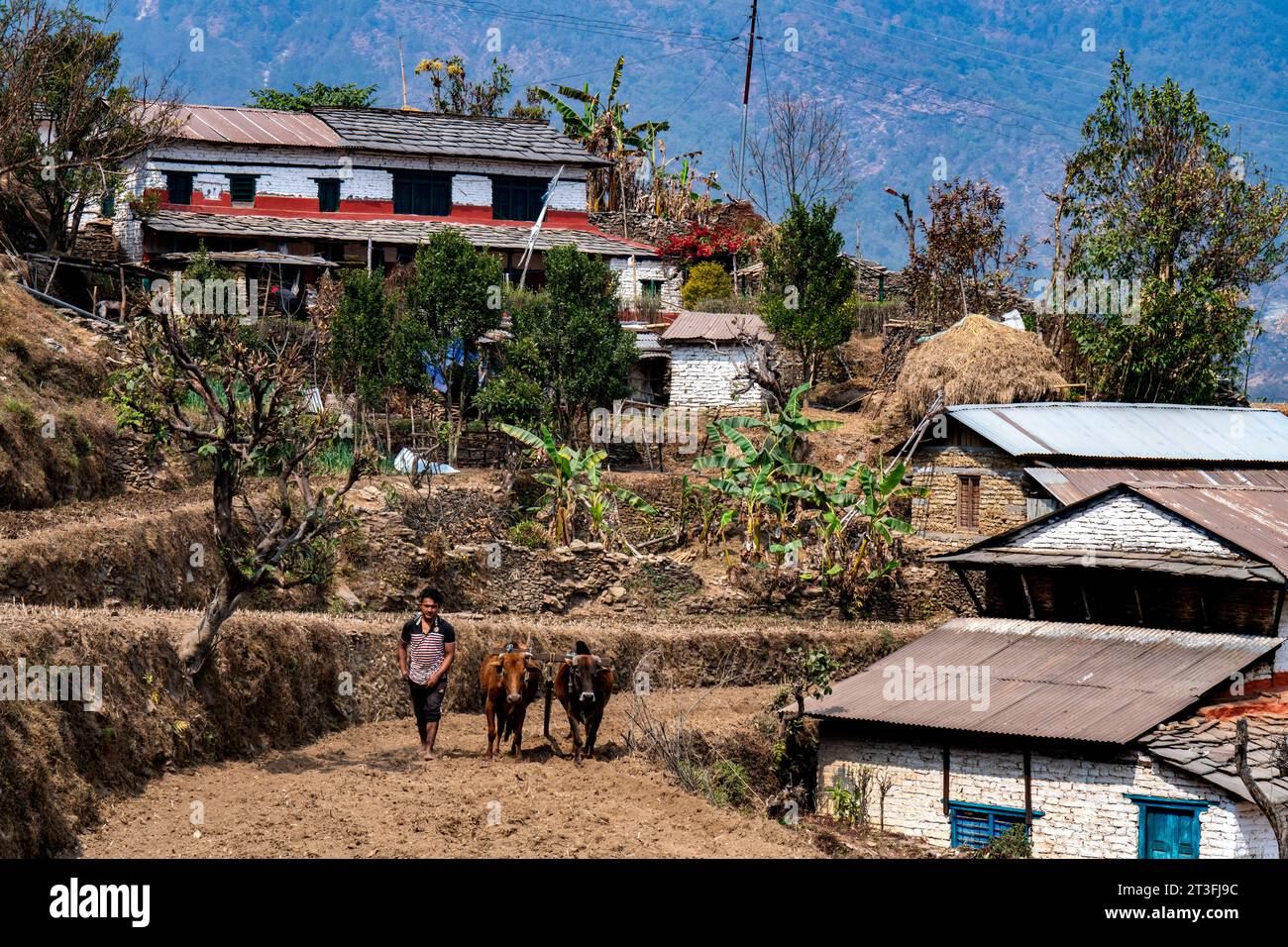 Nepal, Parbat district, Durlung Stock Photo - Alamy