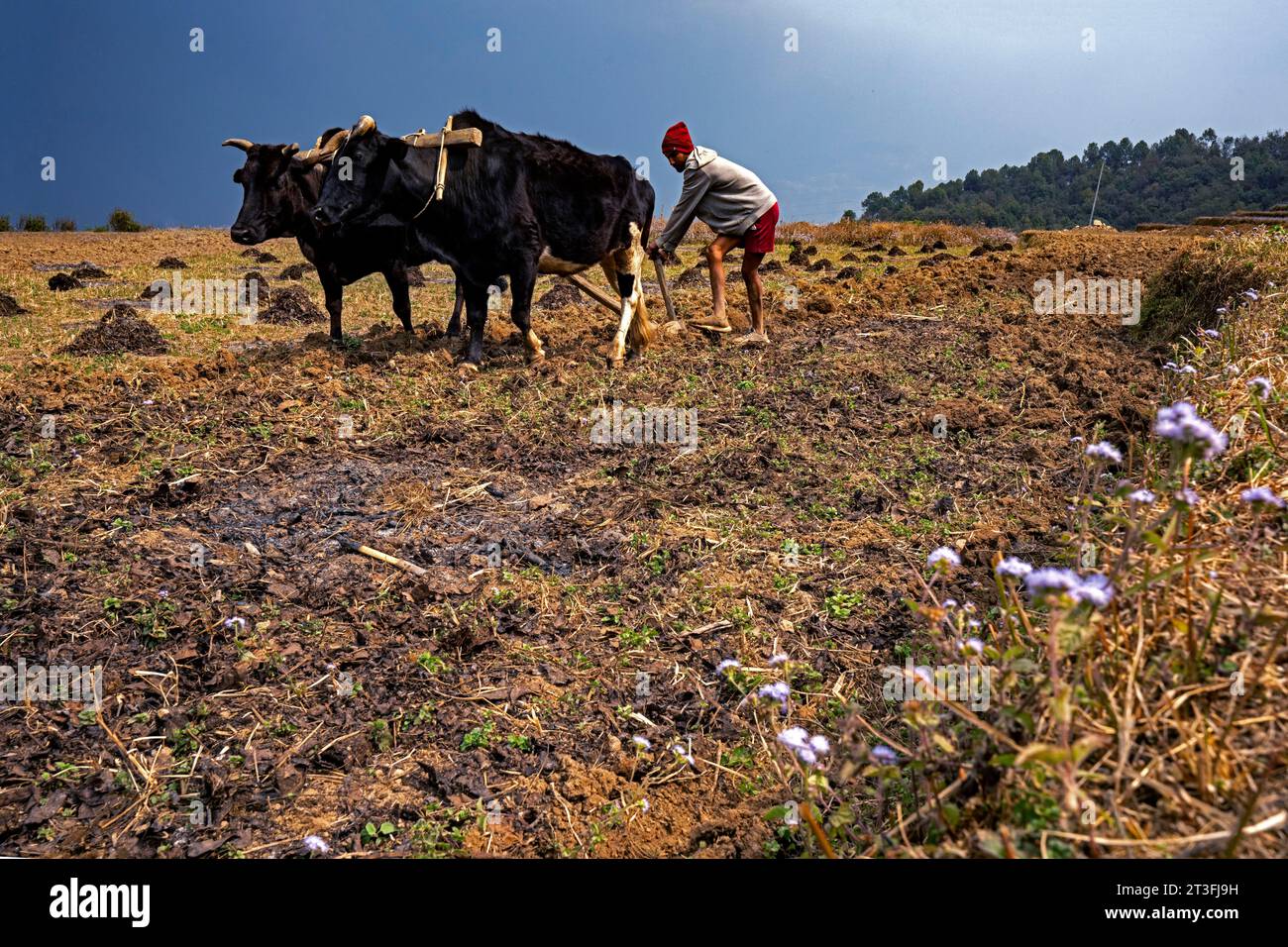 Nepal, Parbat district, Durlung Stock Photo - Alamy