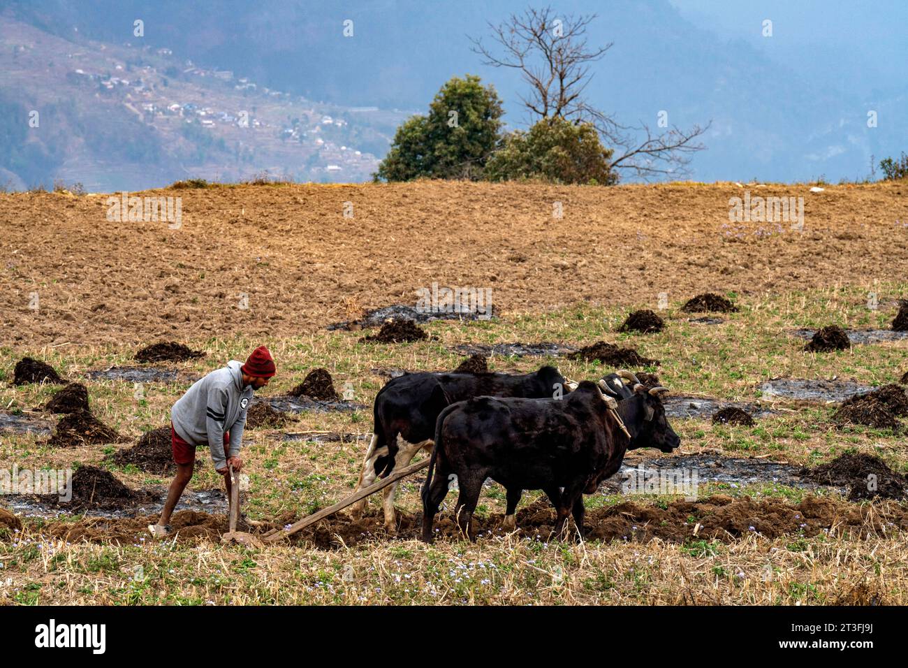 Nepal, Parbat district, Durlung Stock Photo - Alamy