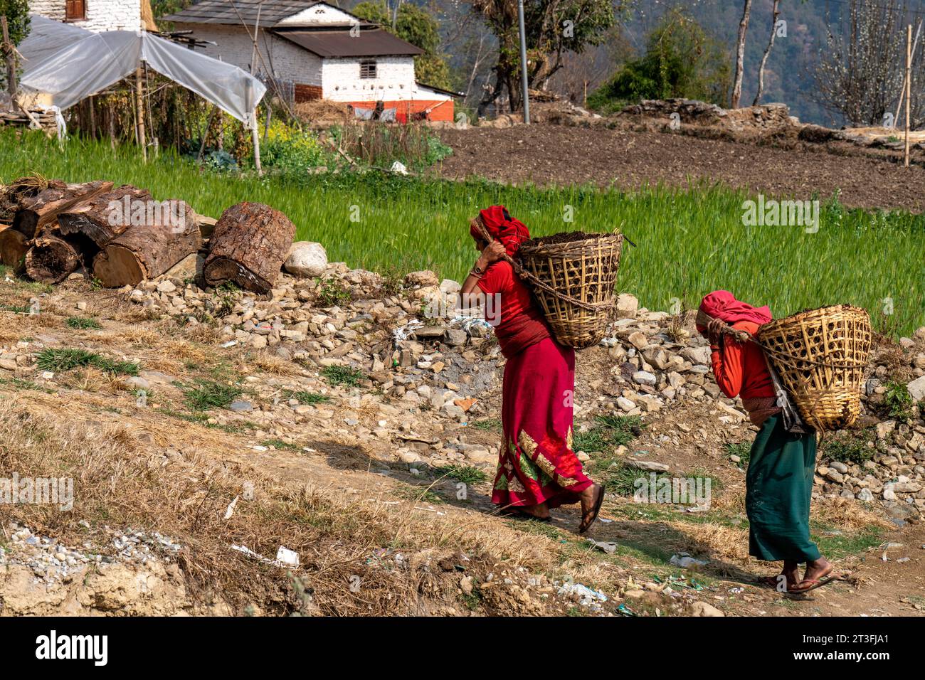 Parbat district hi-res stock photography and images - Alamy