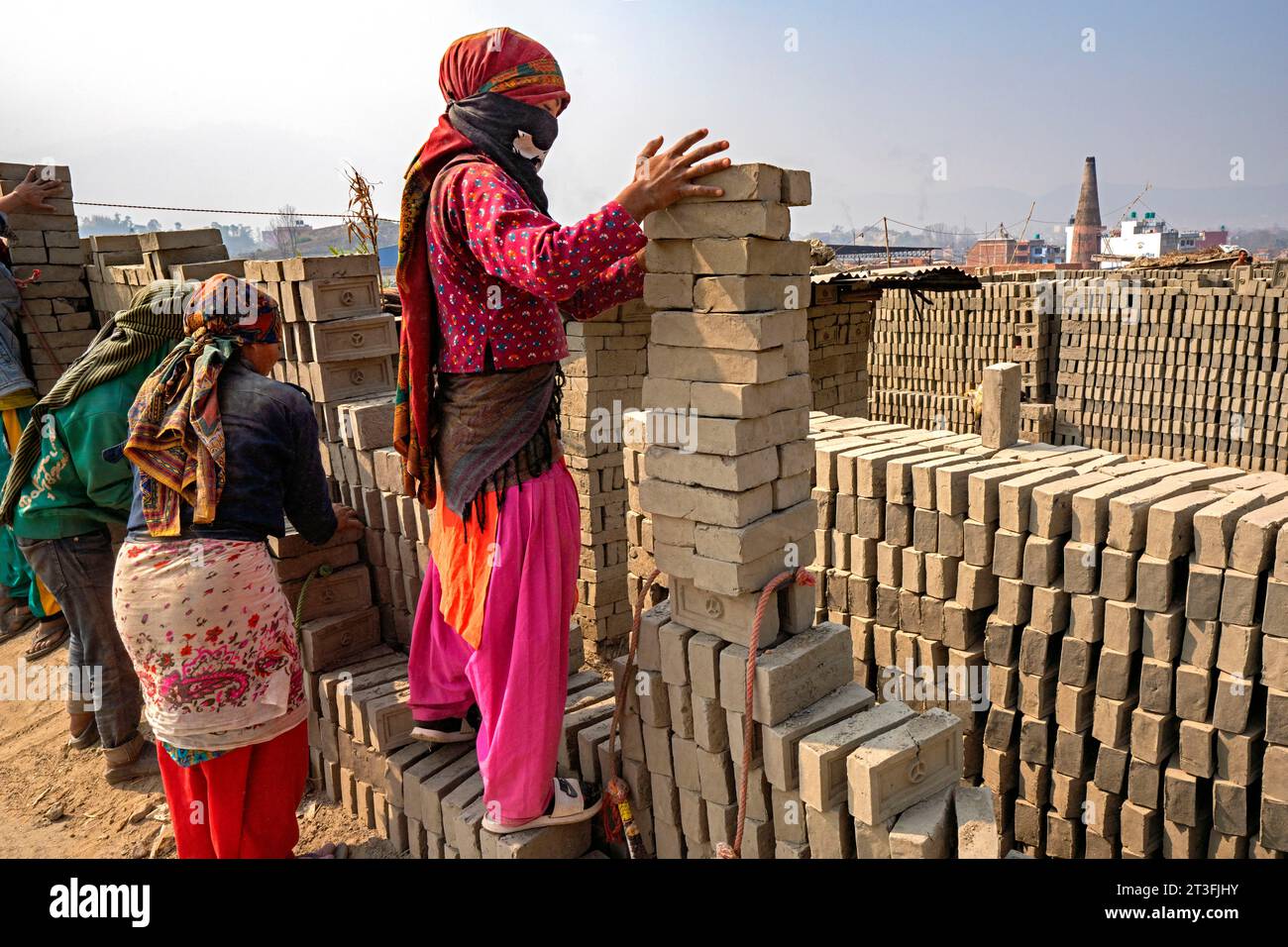 Nepal, Kathmandu Valley, brickworks near Bhaktapur, dry bricks taken to ...