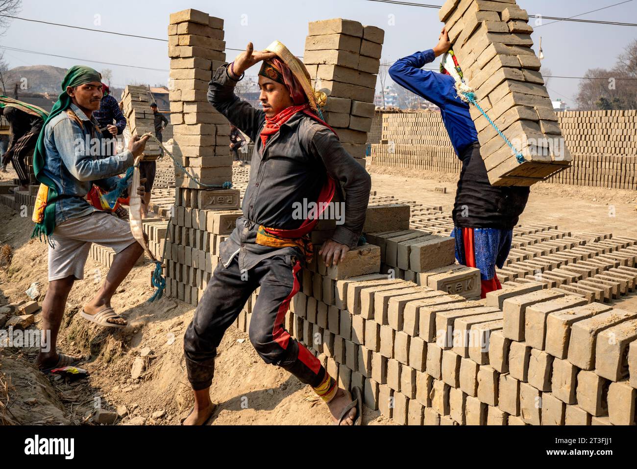 Nepal, Kathmandu Valley, brickworks near Bhaktapur, dry bricks taken to ...