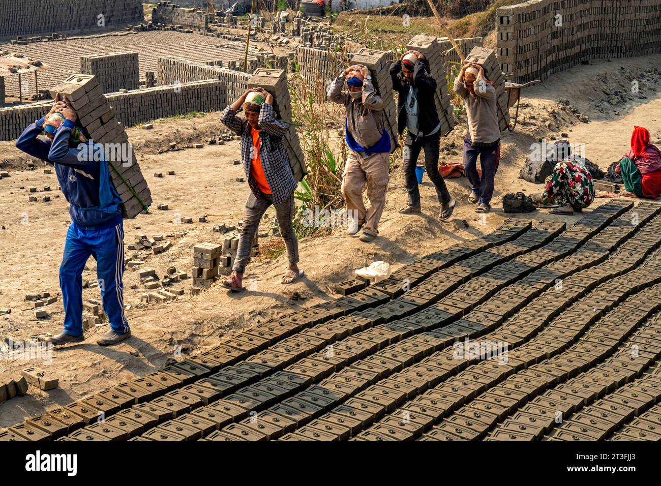 Nepal, Kathmandu Valley, brickworks near Bhaktapur, dry bricks taken to ...