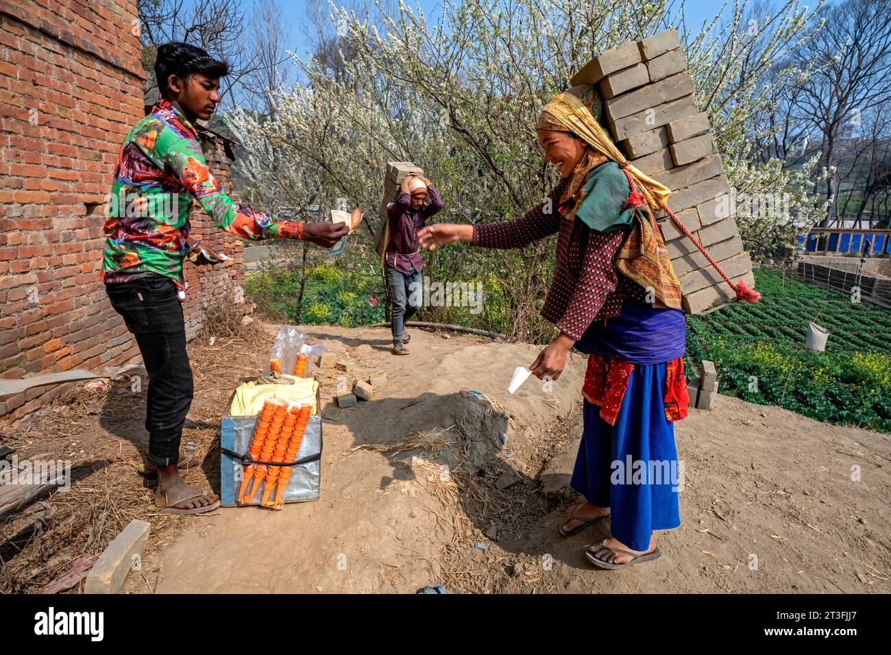 Nepal, Kathmandu Valley, brickworks near Bhaktapur, dry bricks taken to ...