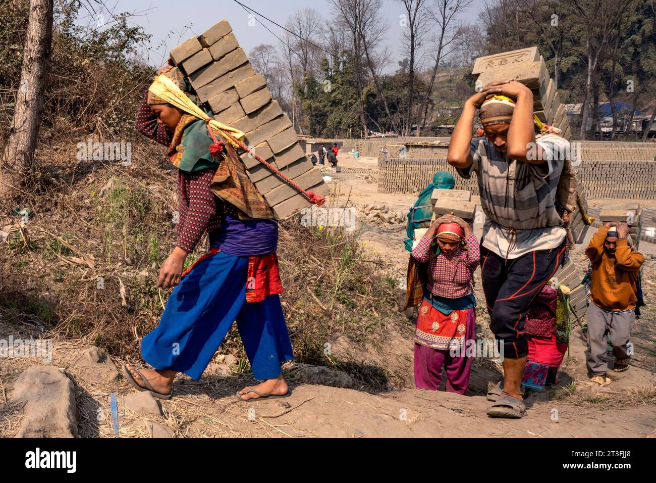 Nepal, Kathmandu Valley, brickworks near Bhaktapur, dry bricks taken to ...