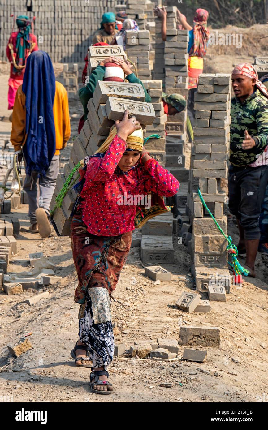 Nepal, Kathmandu Valley, brickworks near Bhaktapur, dry bricks taken to ...