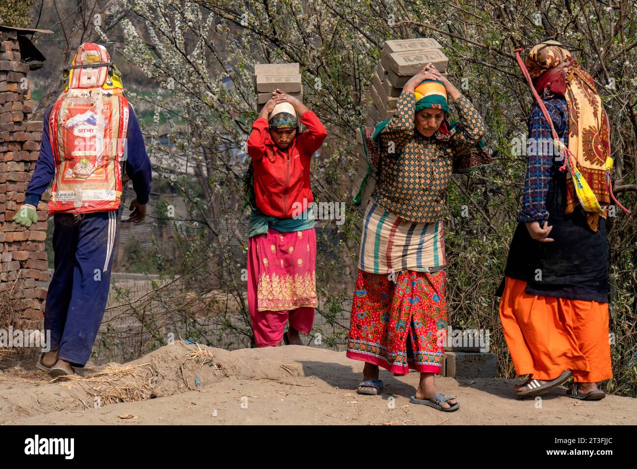 Nepal, Kathmandu Valley, brickworks near Bhaktapur, dry bricks taken to ...