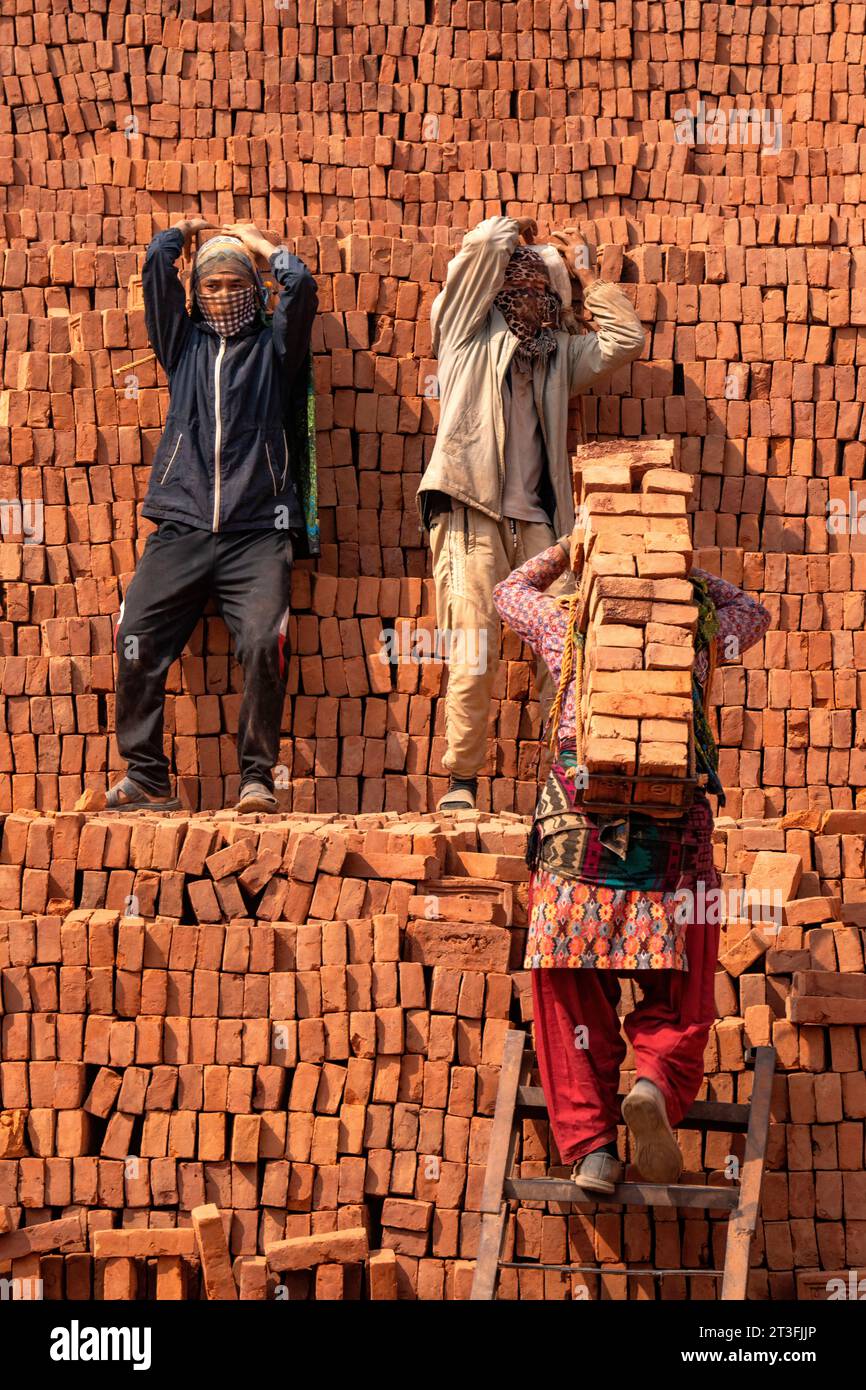 Nepal, Kathmandu Valley, brickworks near Bhaktapur, baked bricks Stock ...