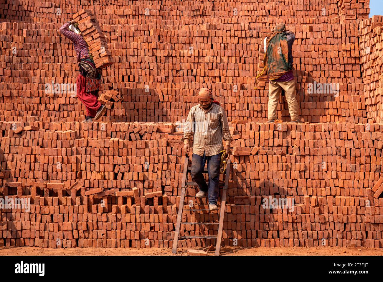 Nepal, Kathmandu Valley, brickworks near Bhaktapur, baked bricks Stock ...