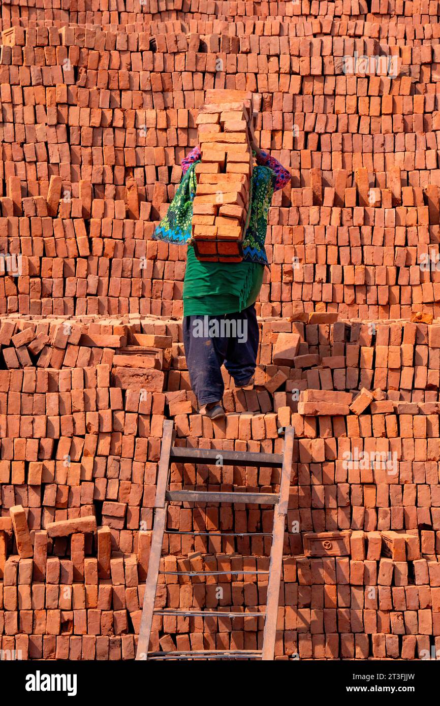 Nepal, Kathmandu Valley, brickworks near Bhaktapur, baked bricks Stock ...