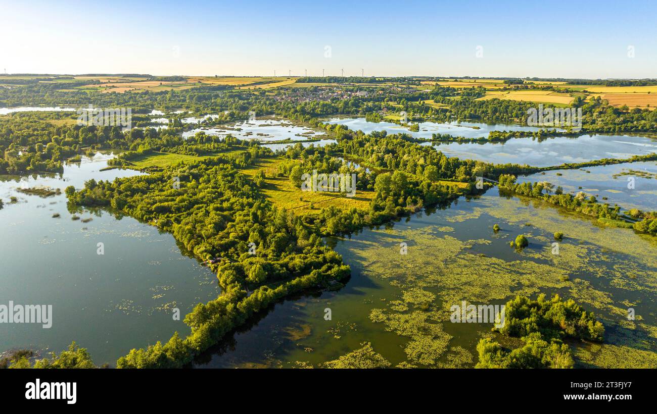 France, Somme, Somme Valley, Long, The Somme marshes between Long and ...