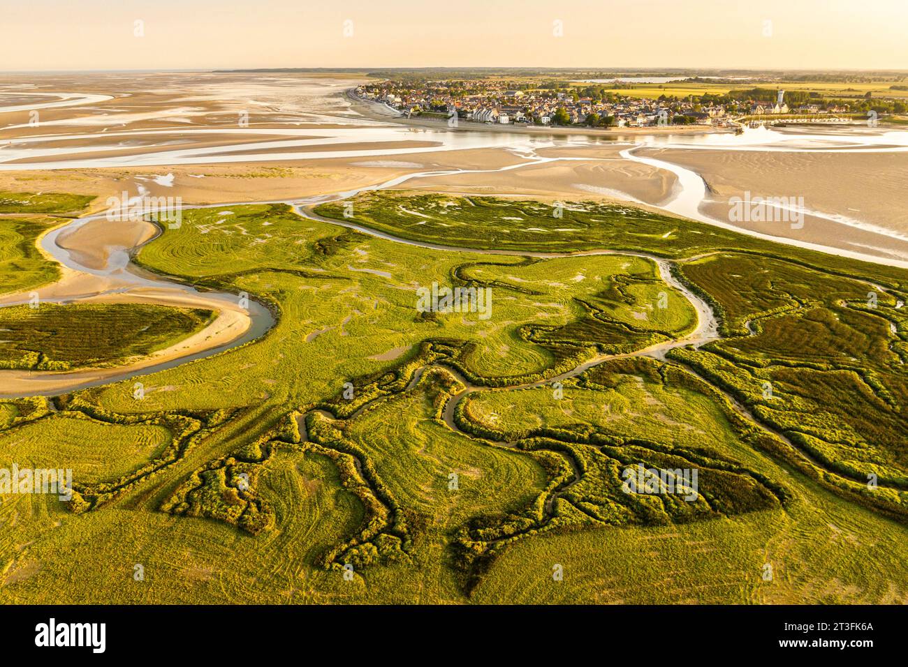 France, Somme, Baie de Somme, Le Crotoy, Aerial view of the ...