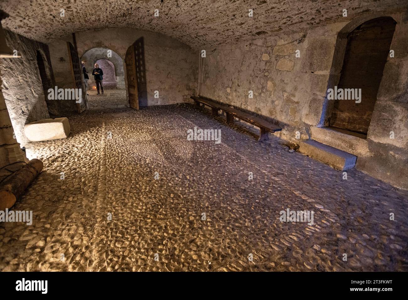France, Haute Savoie, Thorens-Glières, Thorens castle, fief of the de ...