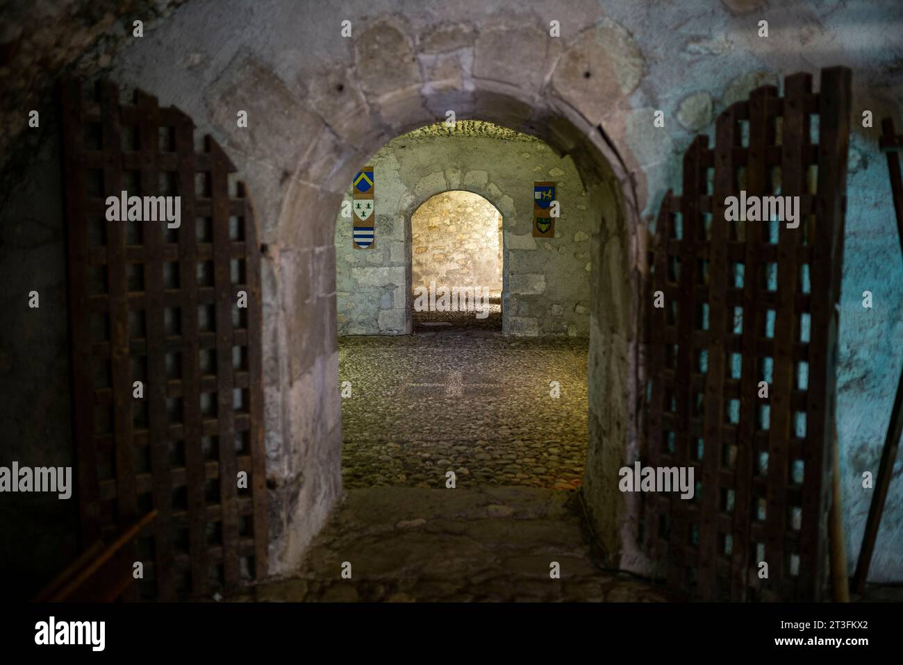 France, Haute Savoie, Thorens-Glières, Thorens castle, fief of the de ...