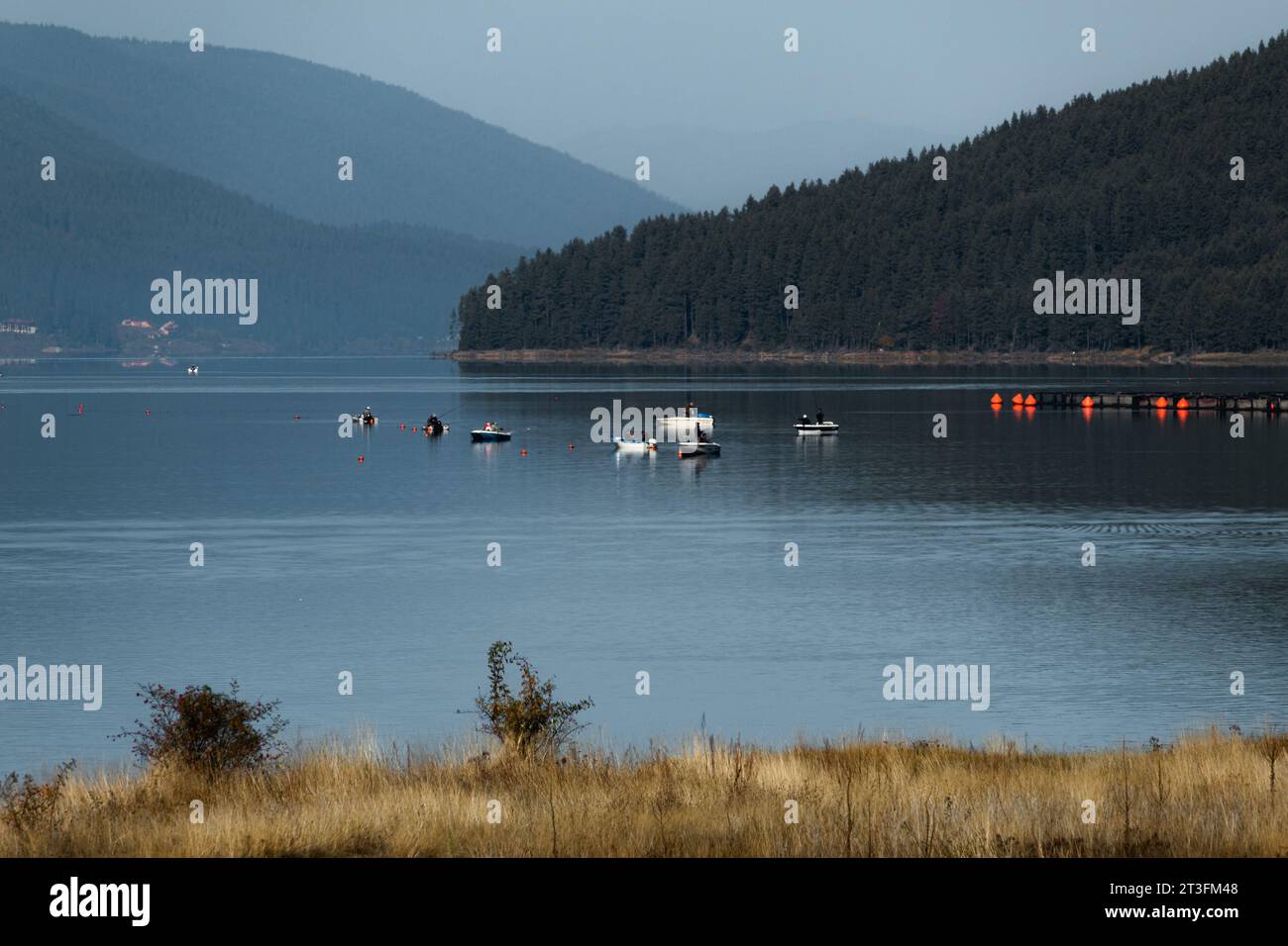 Middle tones hi-res stock photography and images - Alamy