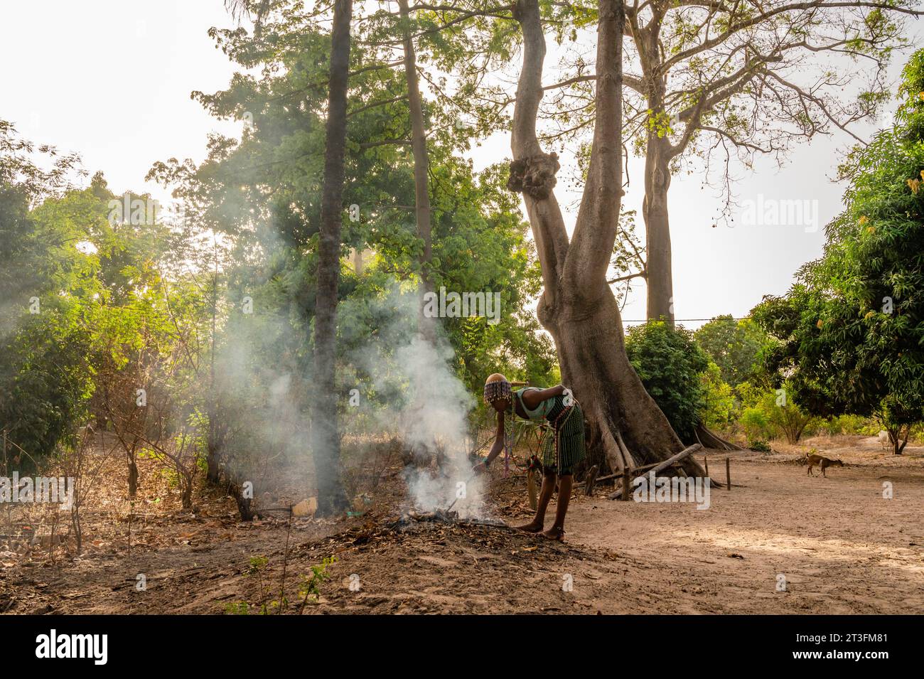 Senegal, Casamance, Bignona district, Affiniam, woman of the Diola ...
