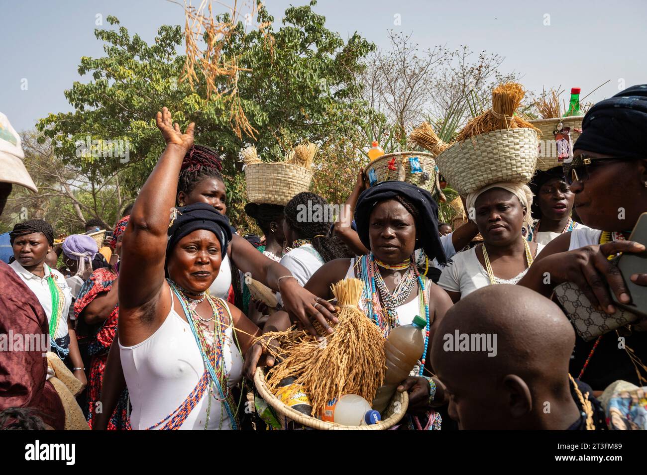 Senegal, Casamance, Ziguinchor district, women of the Diola ethnic ...