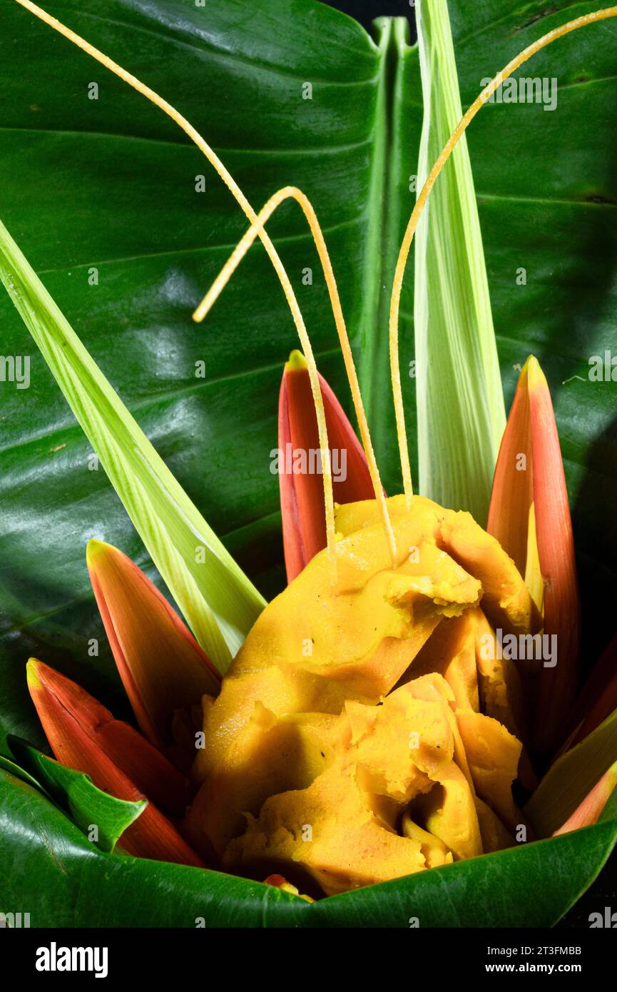 Cameroon, Center district, Mfoundi area, Yaounde, National, museum ...