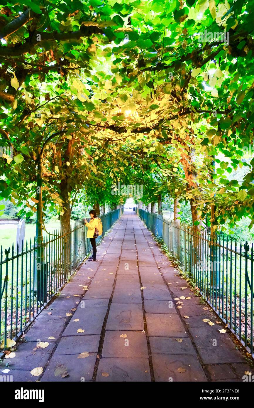 Birdcage walk clifton bristol hi-res stock photography and images - Alamy