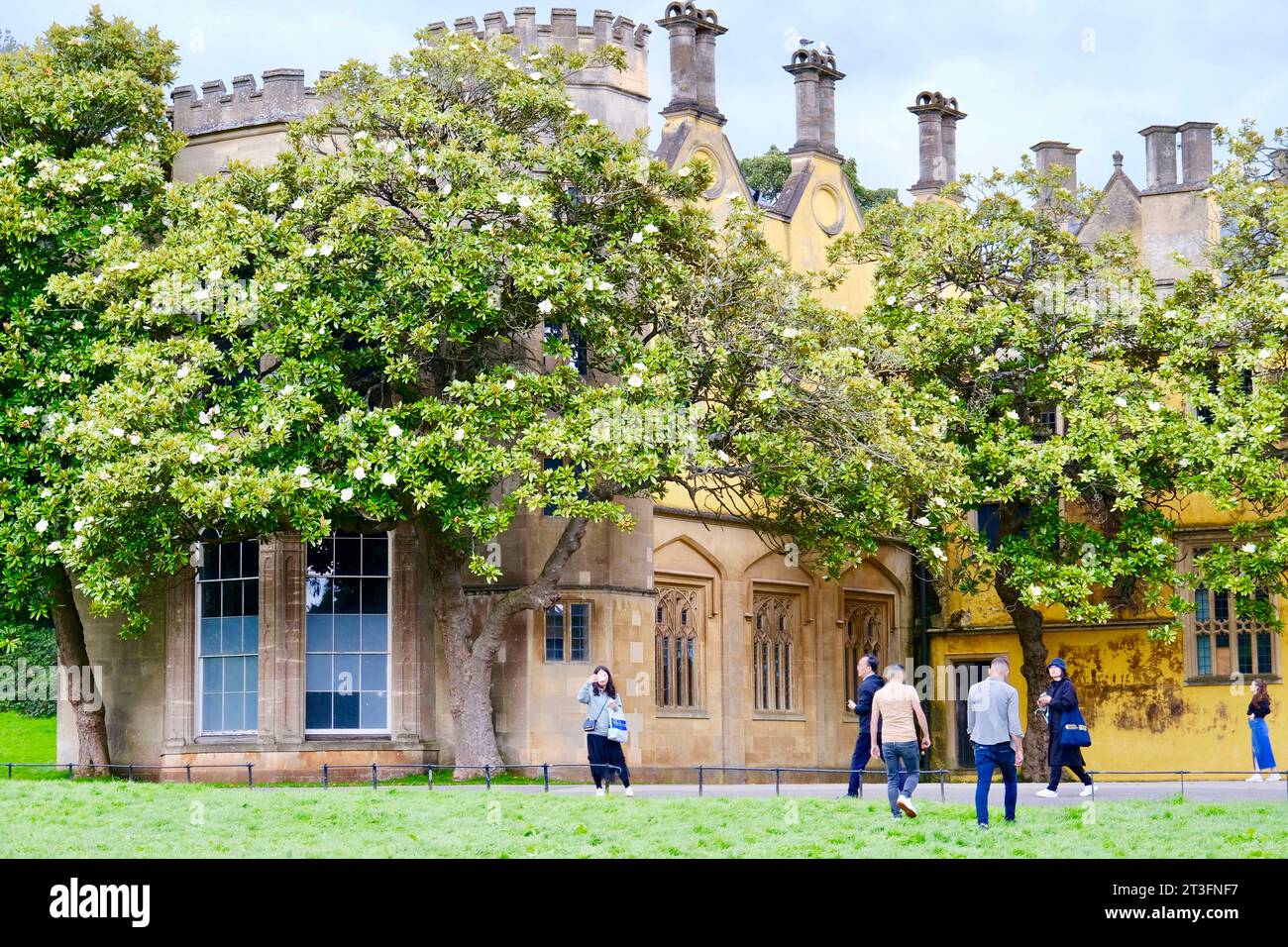 United Kingdom, Bristol, Ashton Court Estate park, Arts Mansion Stock Photo - Alamy