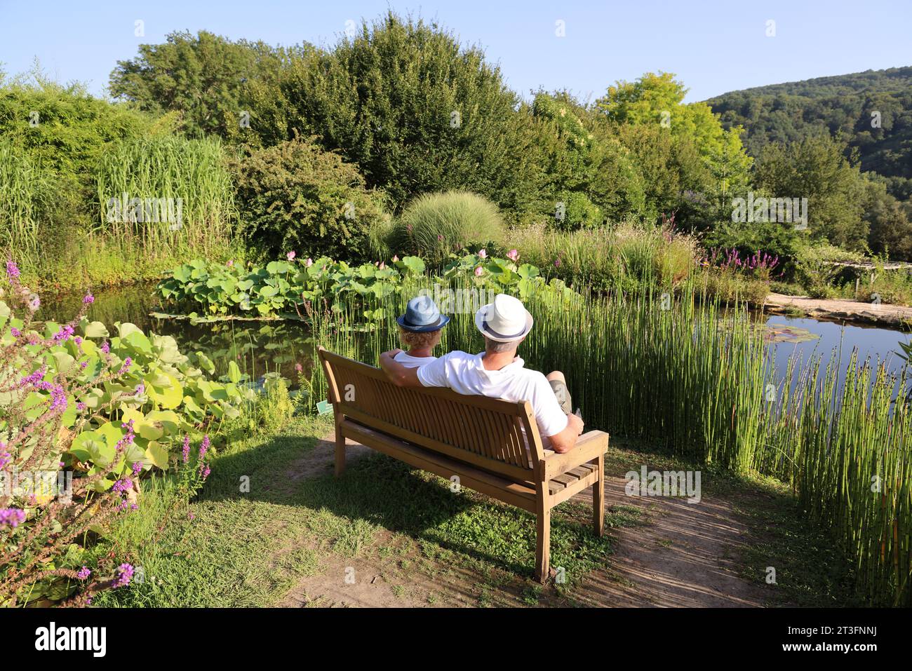 Nature, vegetation, water basins, walks, calm in the Water Gardens ...
