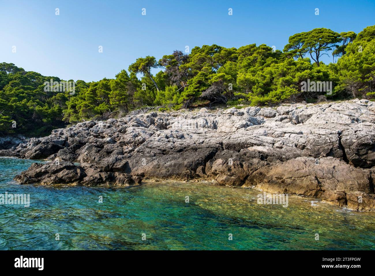 Croatia, Dalmatia, Elaphite Islands, Sipan Island, wild coast Stock ...