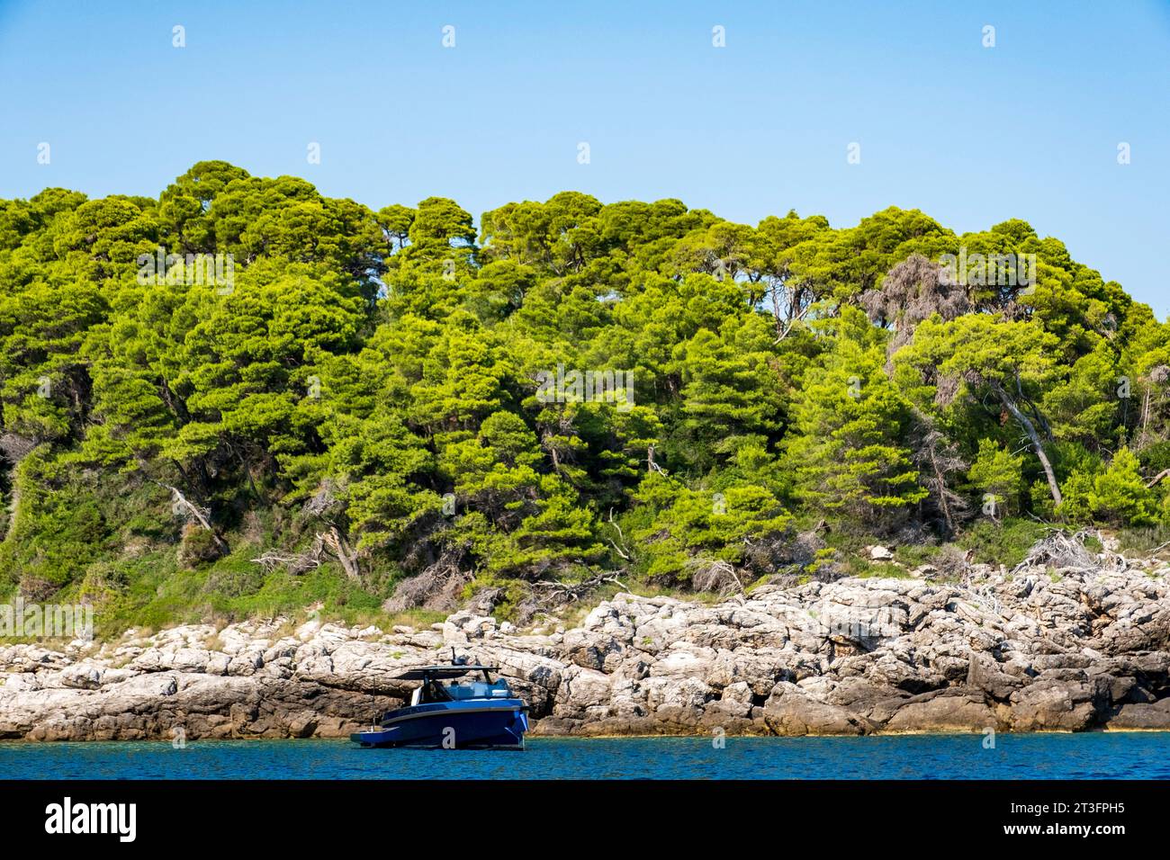 Croatia, Dalmatia, Elaphite Islands, Sipan Island, wild coast Stock ...