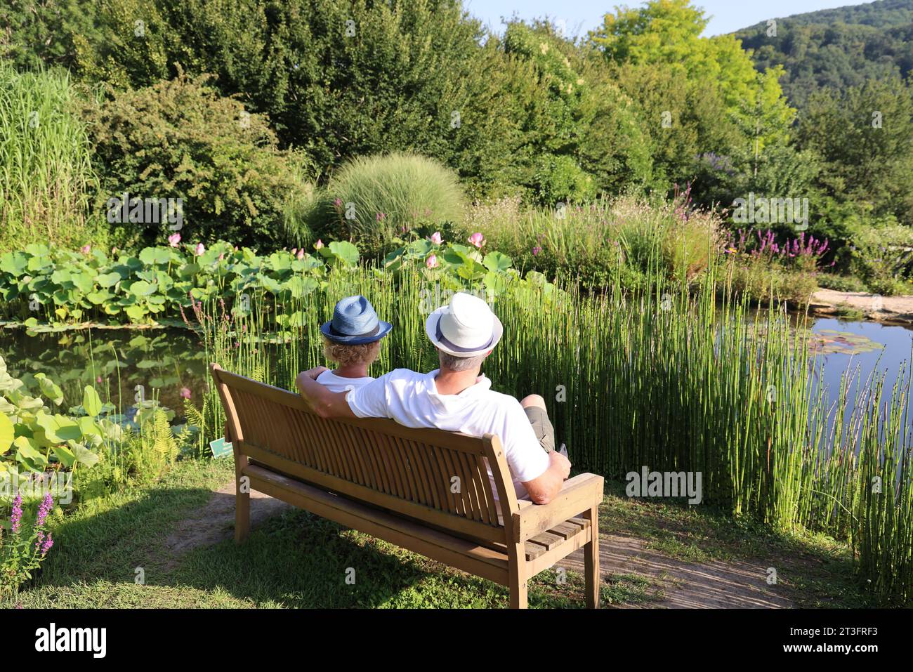 Nature, vegetation, water basins, walks, calm in the Water Gardens ...