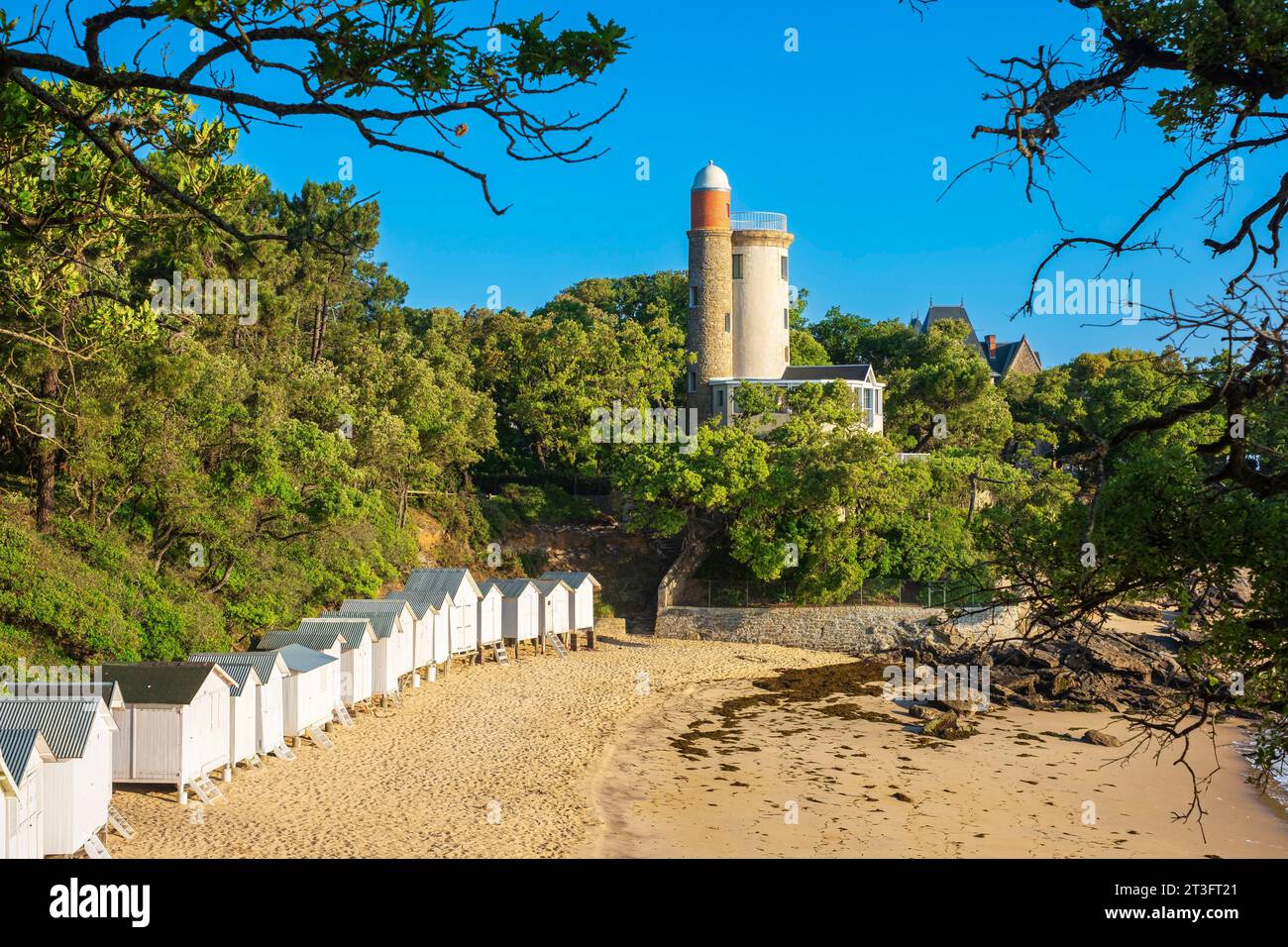 France, Vendee, Noirmoutier island, Noirmoutier en l'Ile, Bois de la ...
